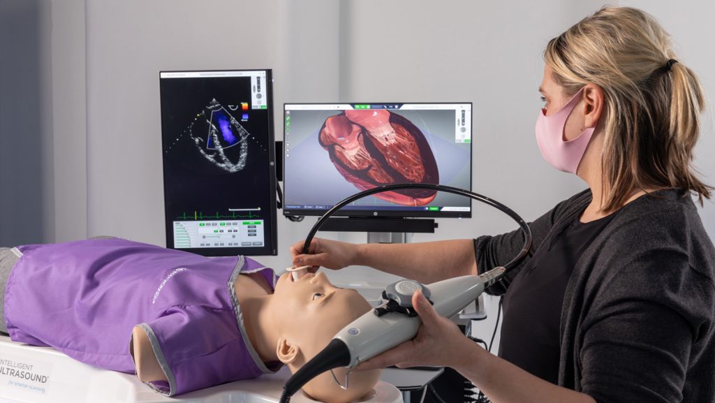 Introduction to TEE – Intelligent Ultrasound – eLearning
